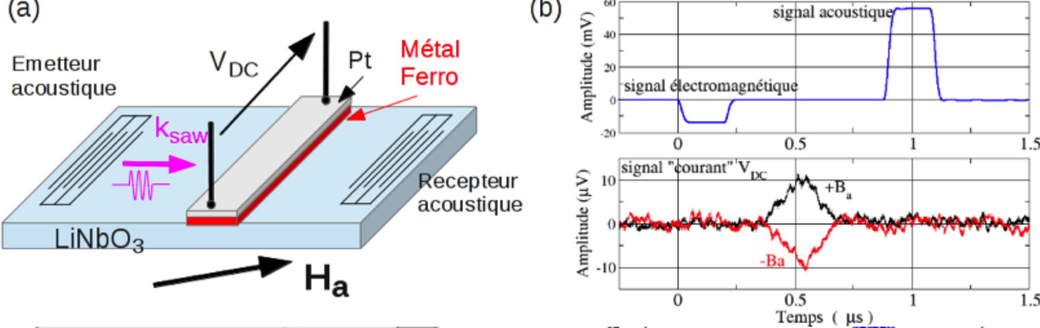 Acoustics and optics for nanosciences and quantum physics - Magneto ...