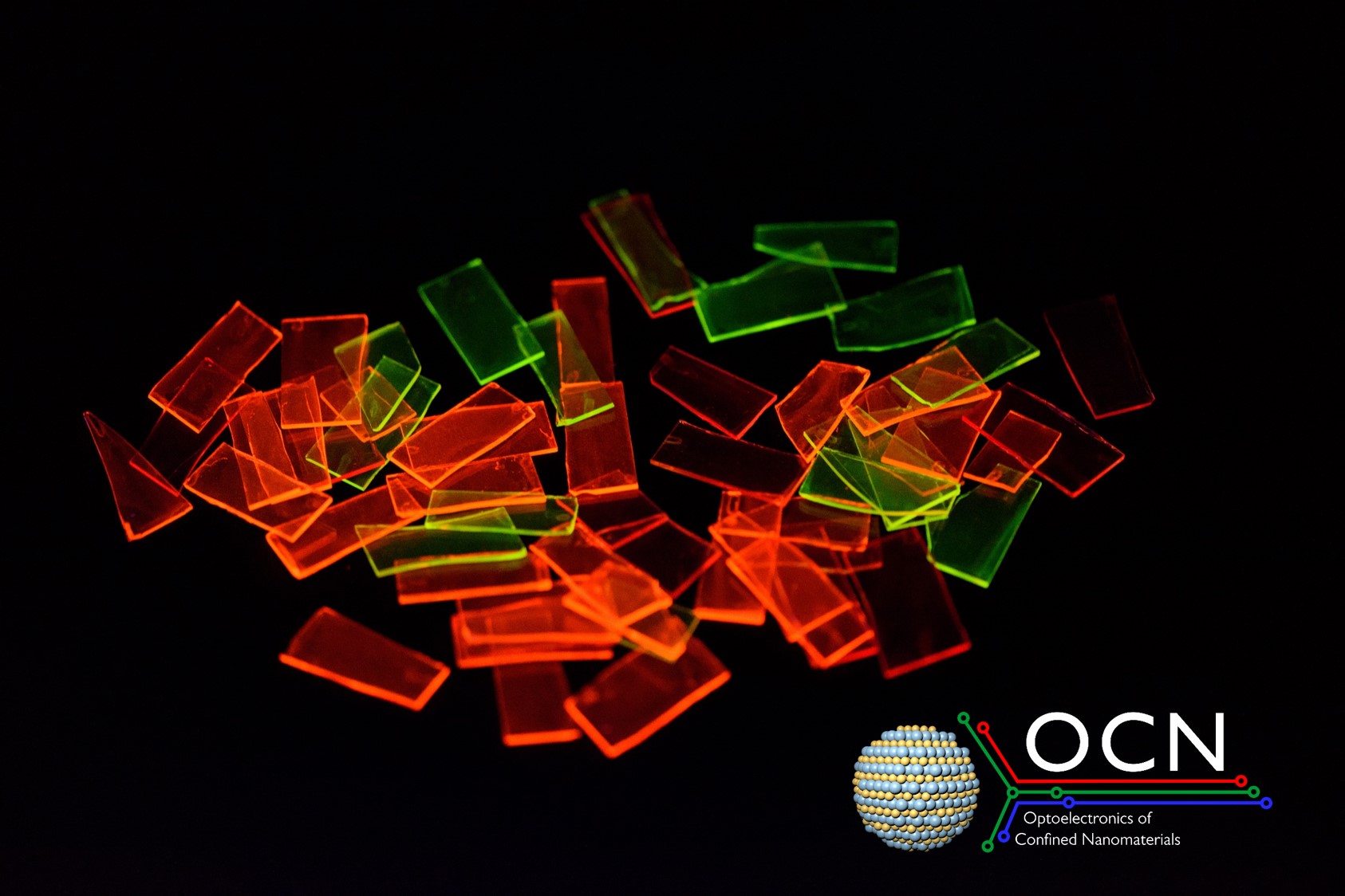 Ocn group life - INSP