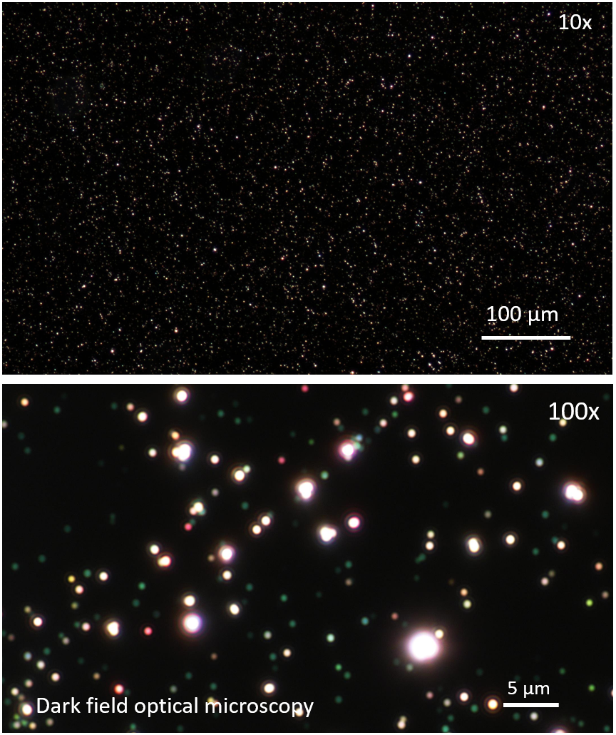 Pluchery Olivier Plasmonics - INSP