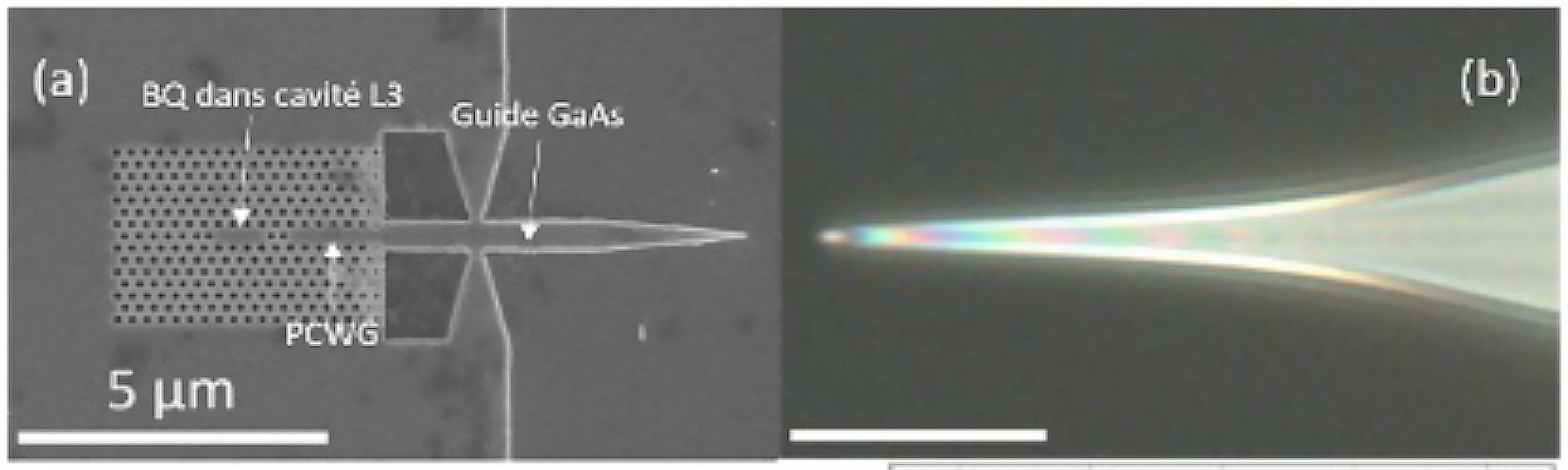 Collecting single photons using adiabatic coupling between waveguide ...